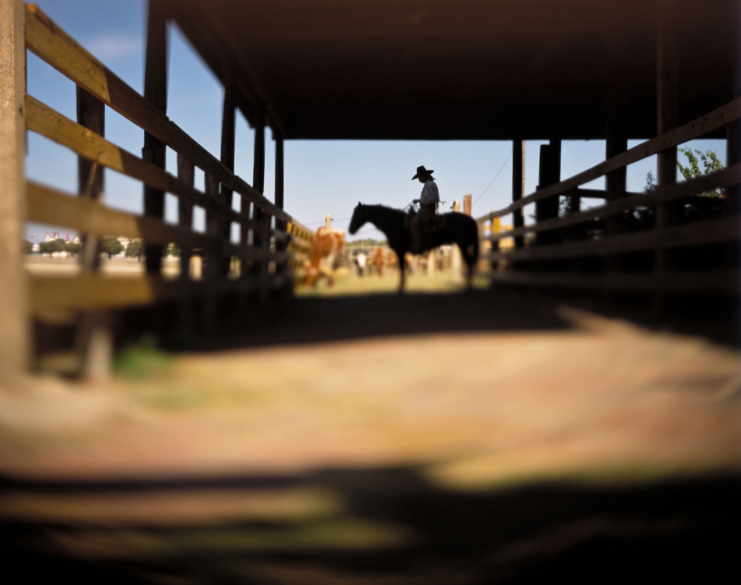 Texas Commercial and Editorial Location Photographer - Dave Shafer